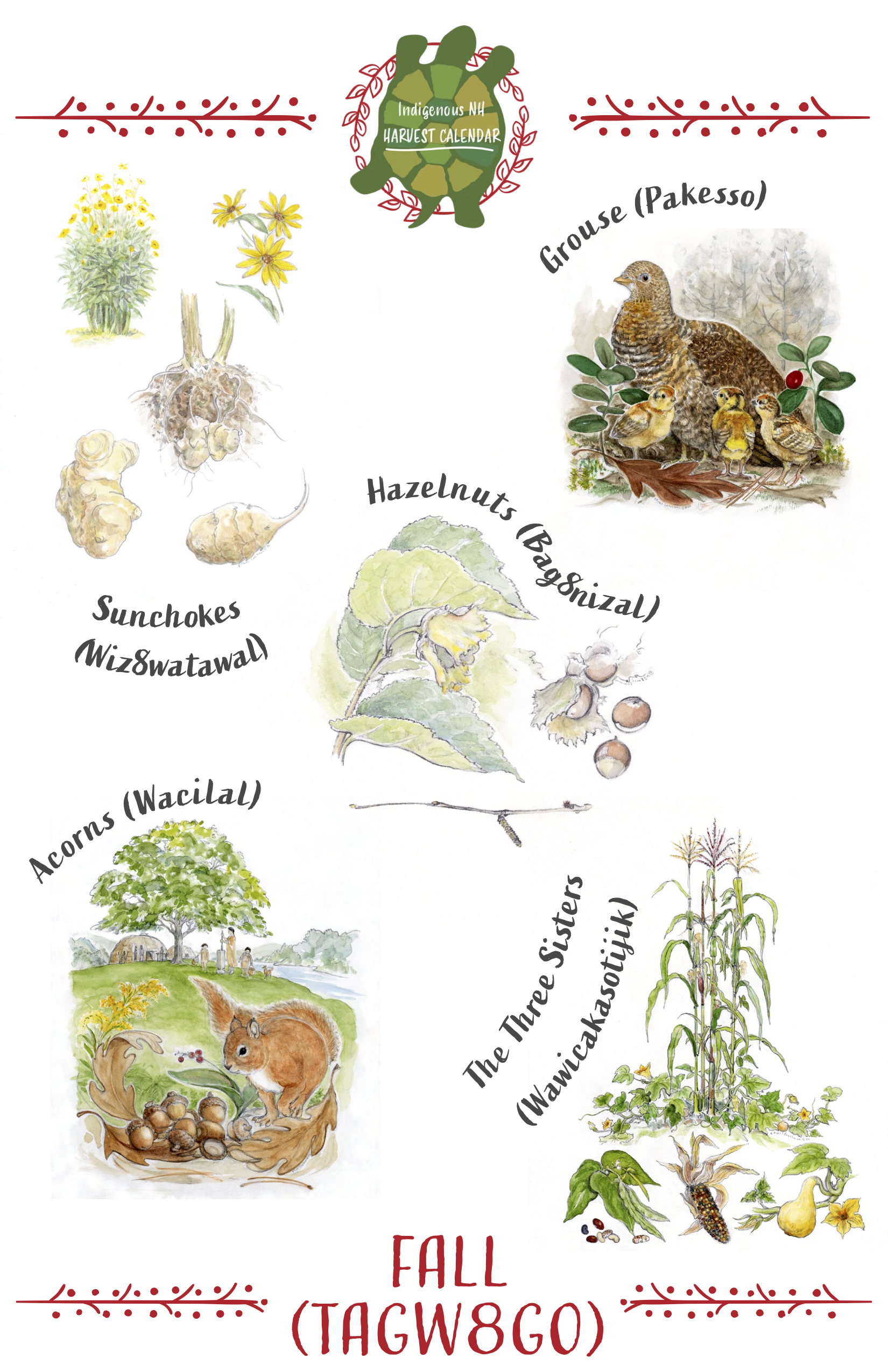 Indigenous Food Resources – Indigenous New Hampshire Collaborative ...