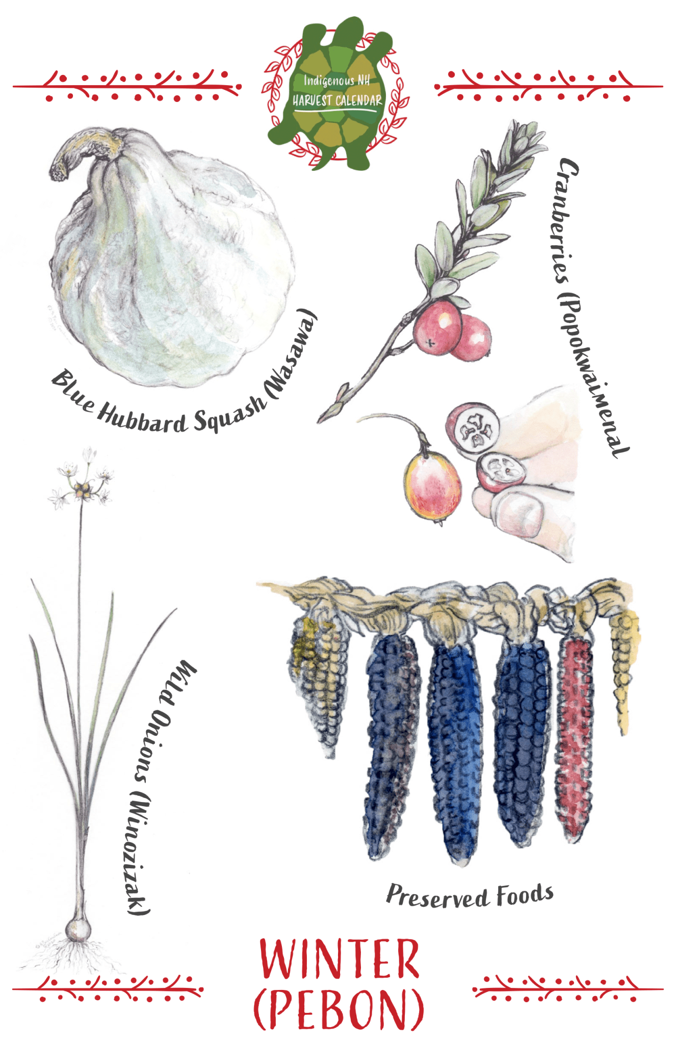 Indigenous Food Resources – Indigenous New Hampshire Collaborative ...