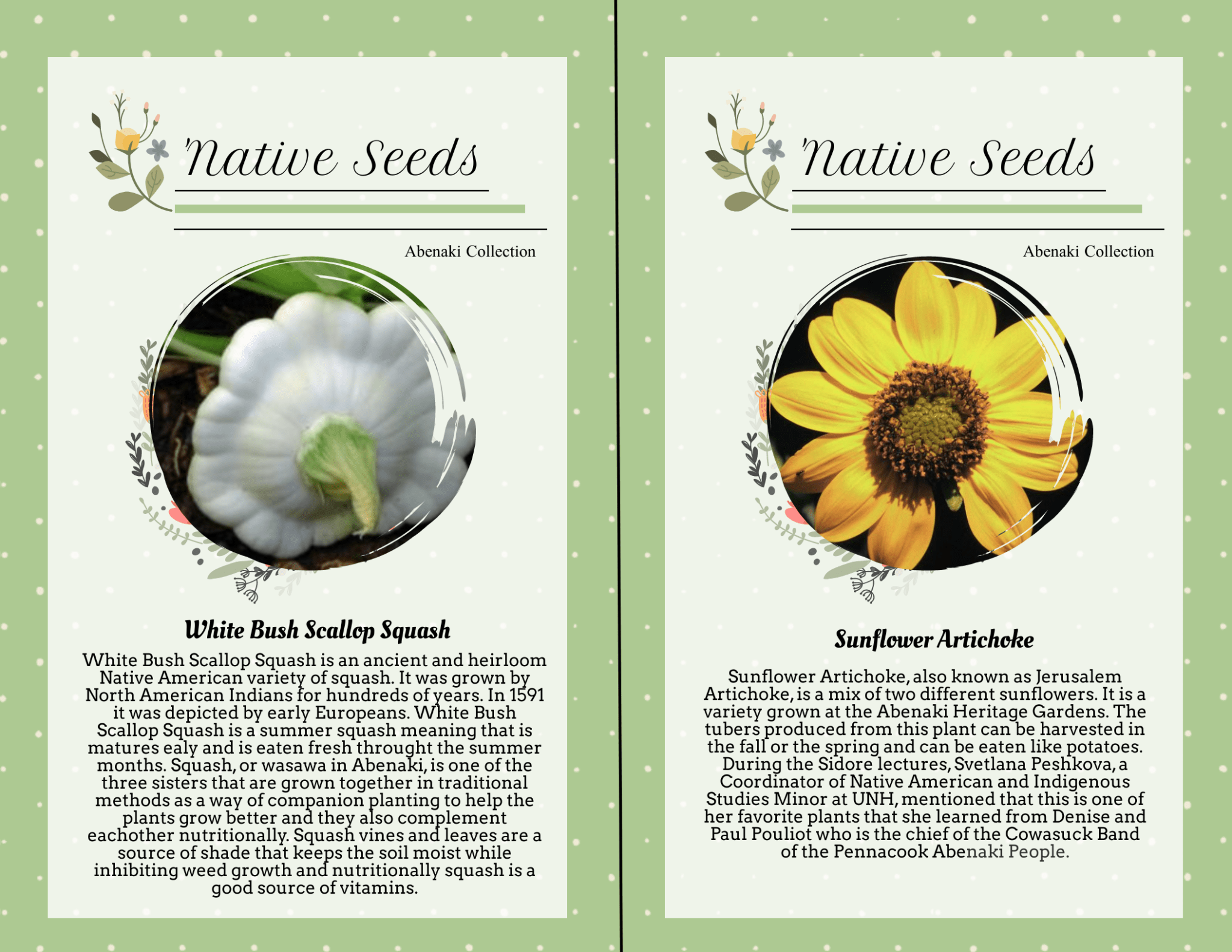 Abenaki Seed Packets – Indigenous New Hampshire Collaborative Collective